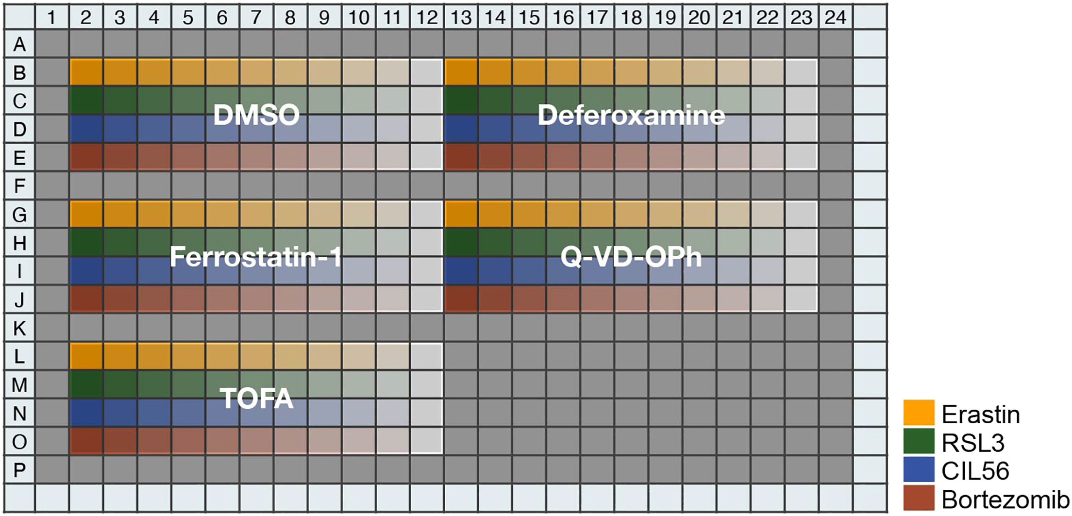 Cell Press: STAR Protocols