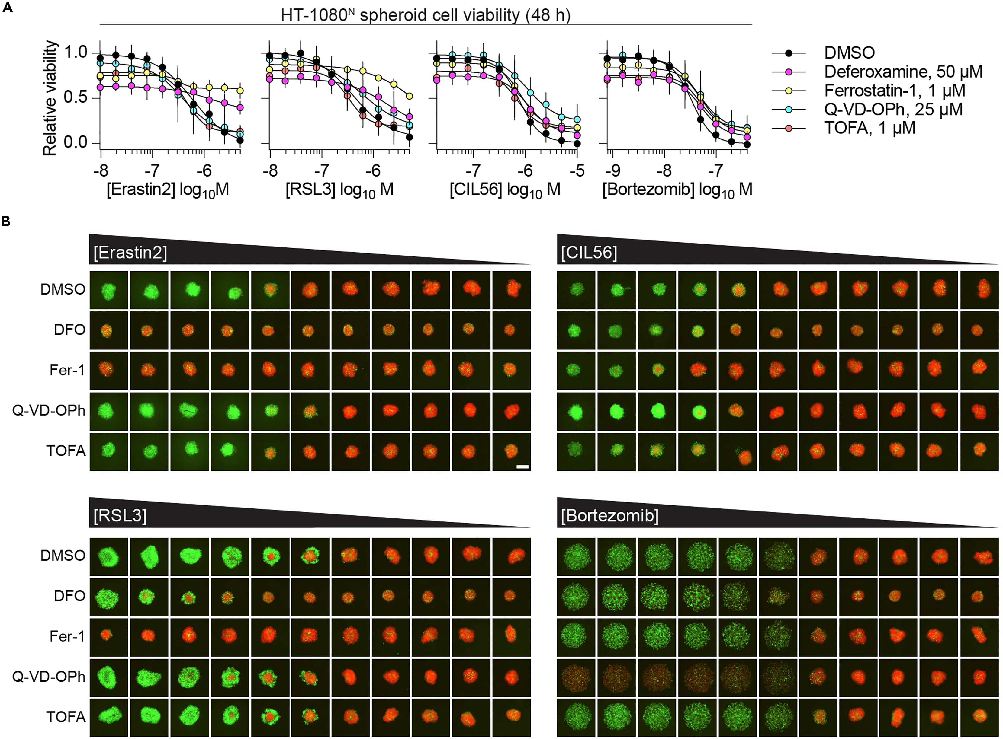 Cell Press: STAR Protocols