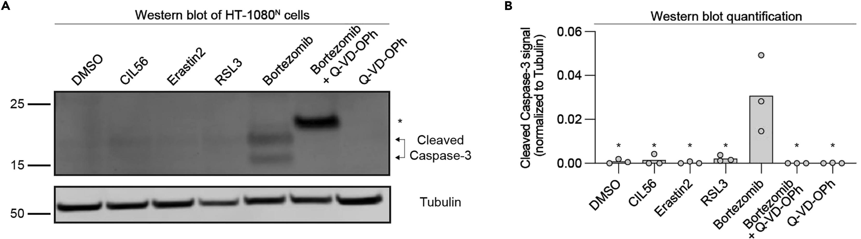 Cell Press: STAR Protocols