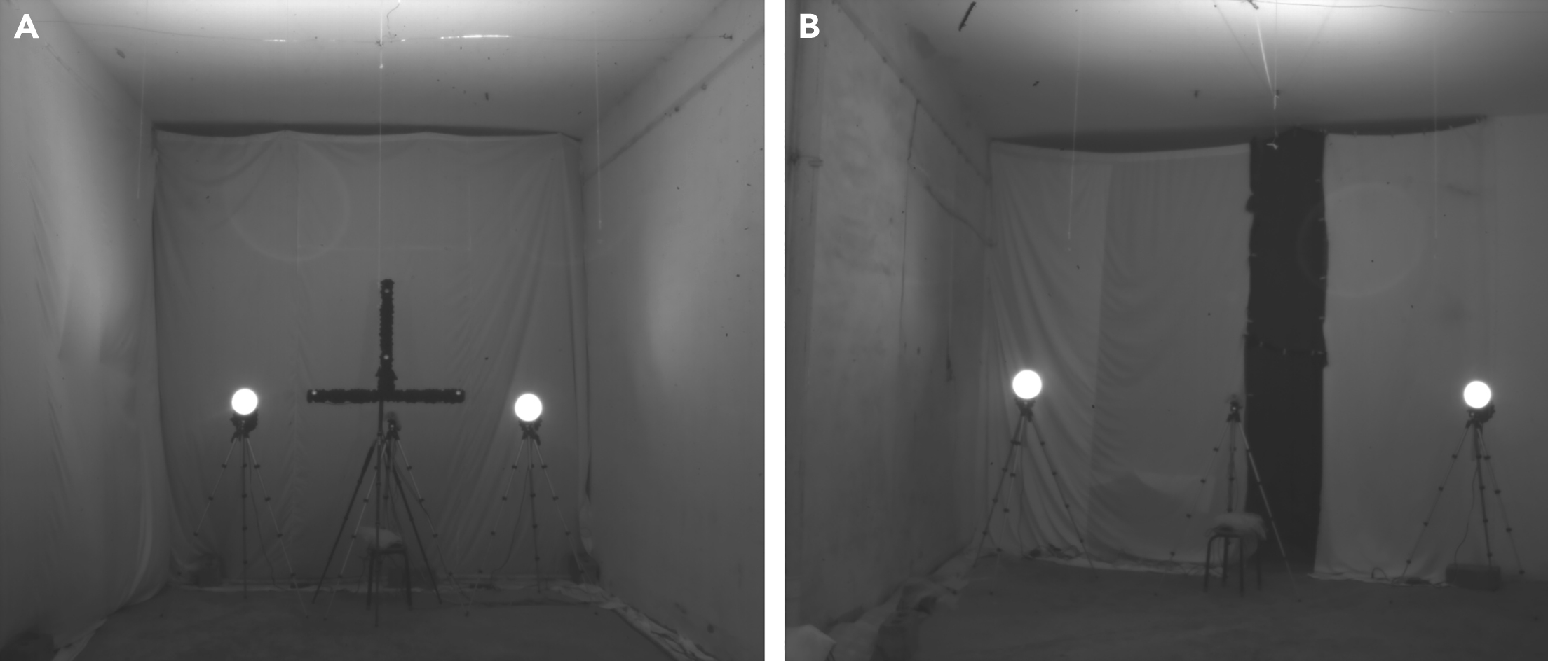 Cell Press: STAR Protocols