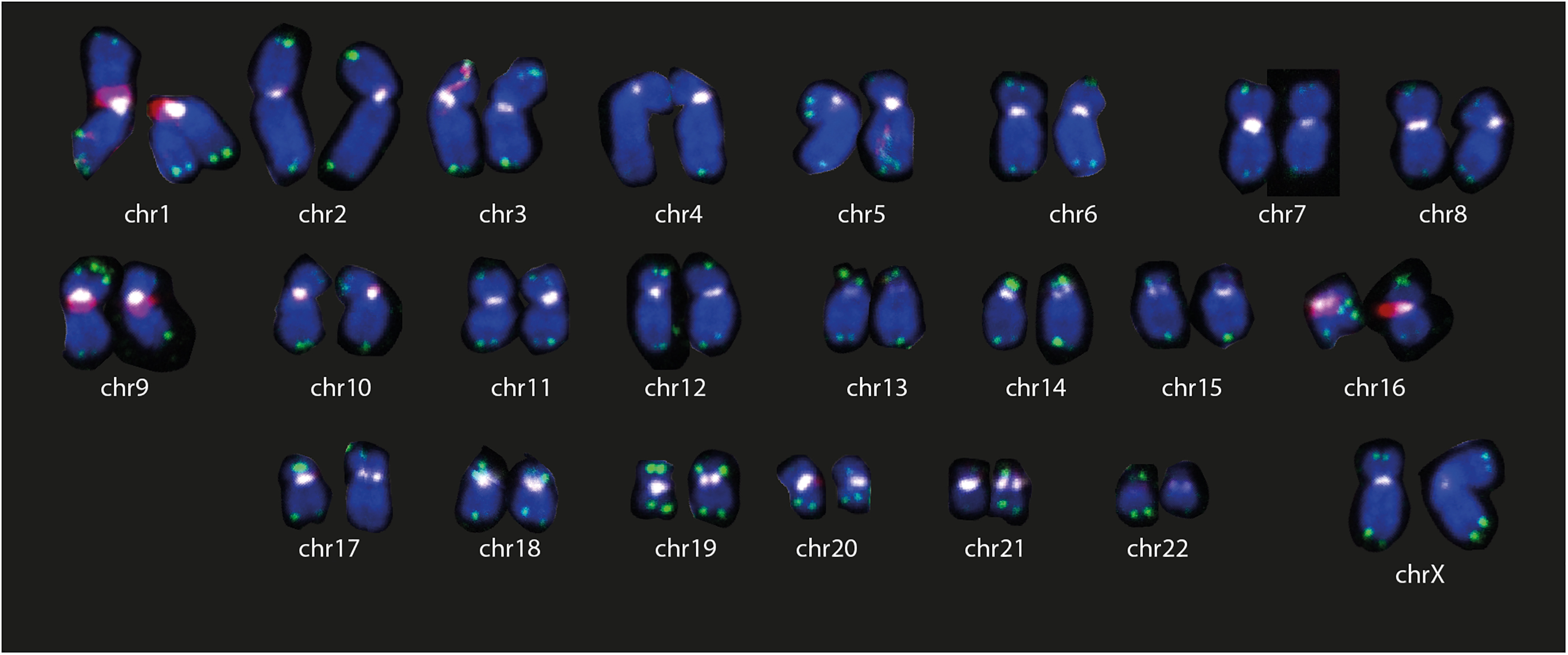 Cell Press: STAR Protocols