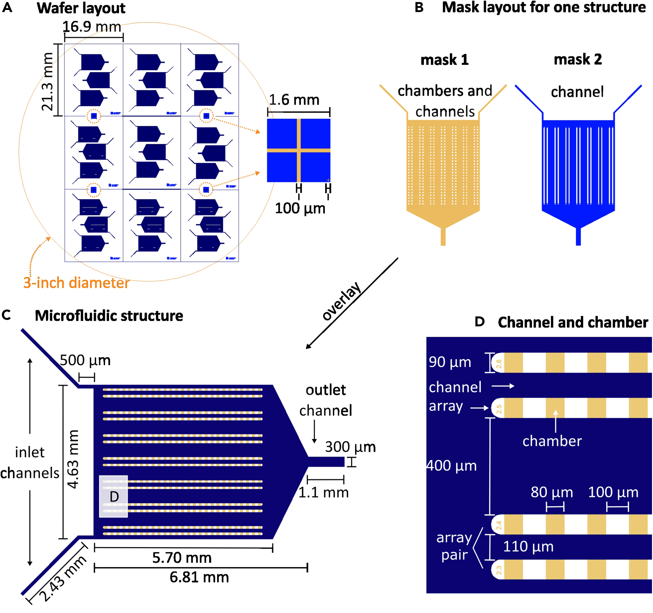 Cell Press: STAR Protocols