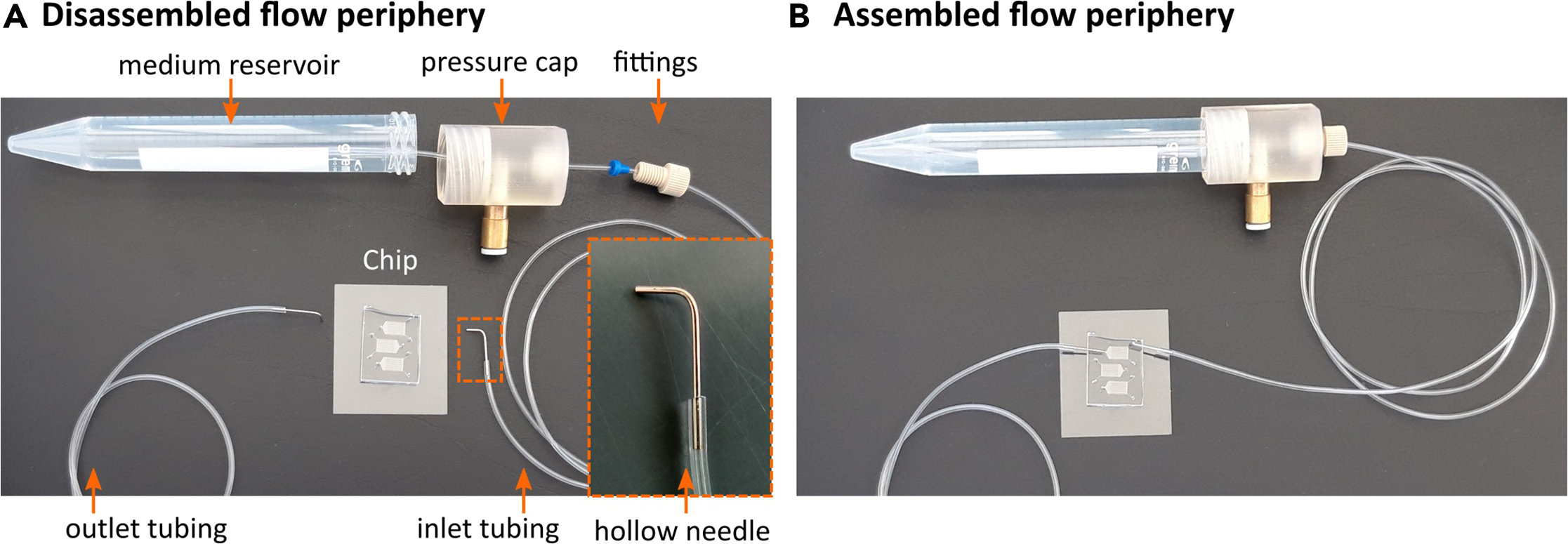 Cell Press: STAR Protocols