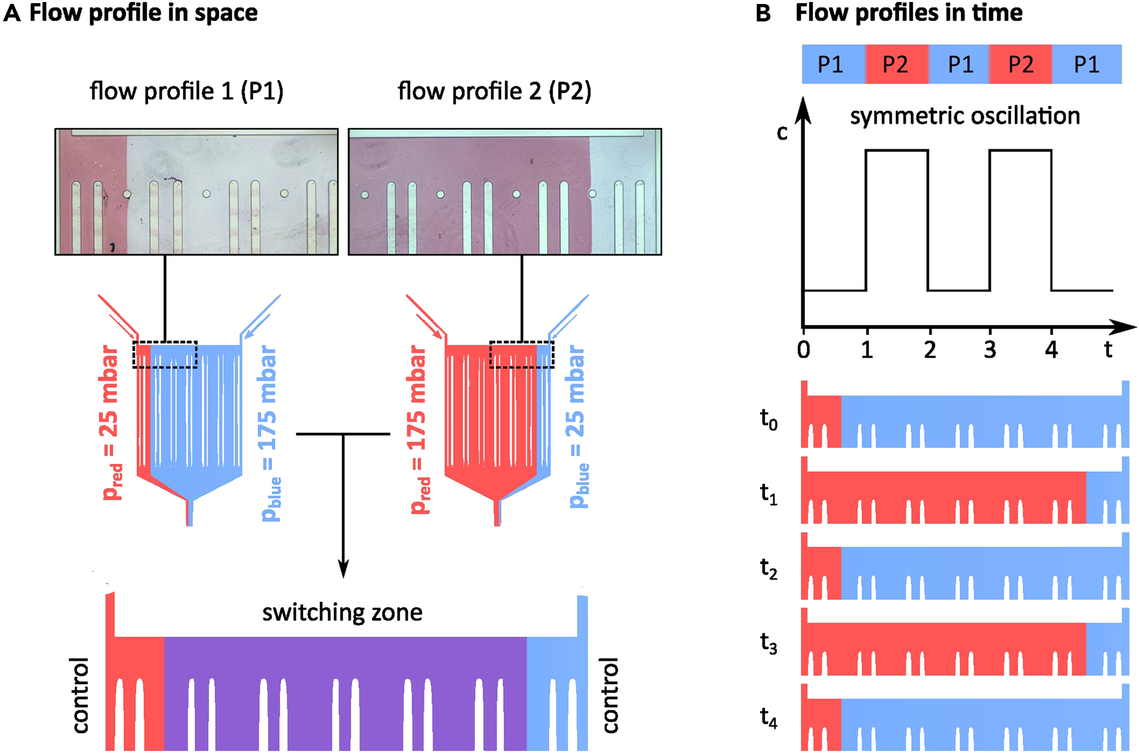 Cell Press: STAR Protocols