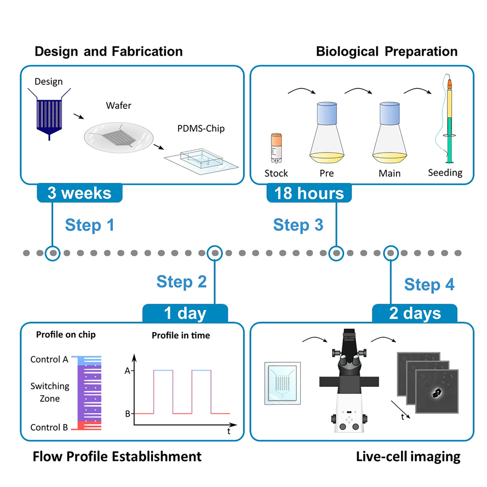 Cell Press: STAR Protocols