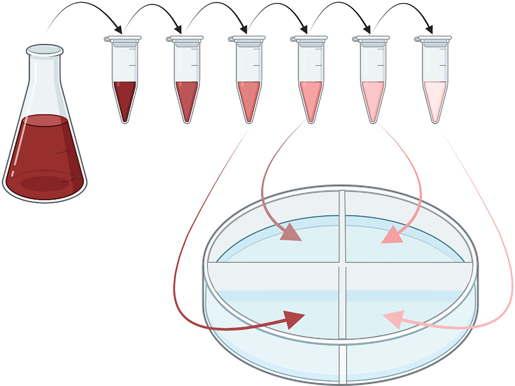 Cell Press: STAR Protocols