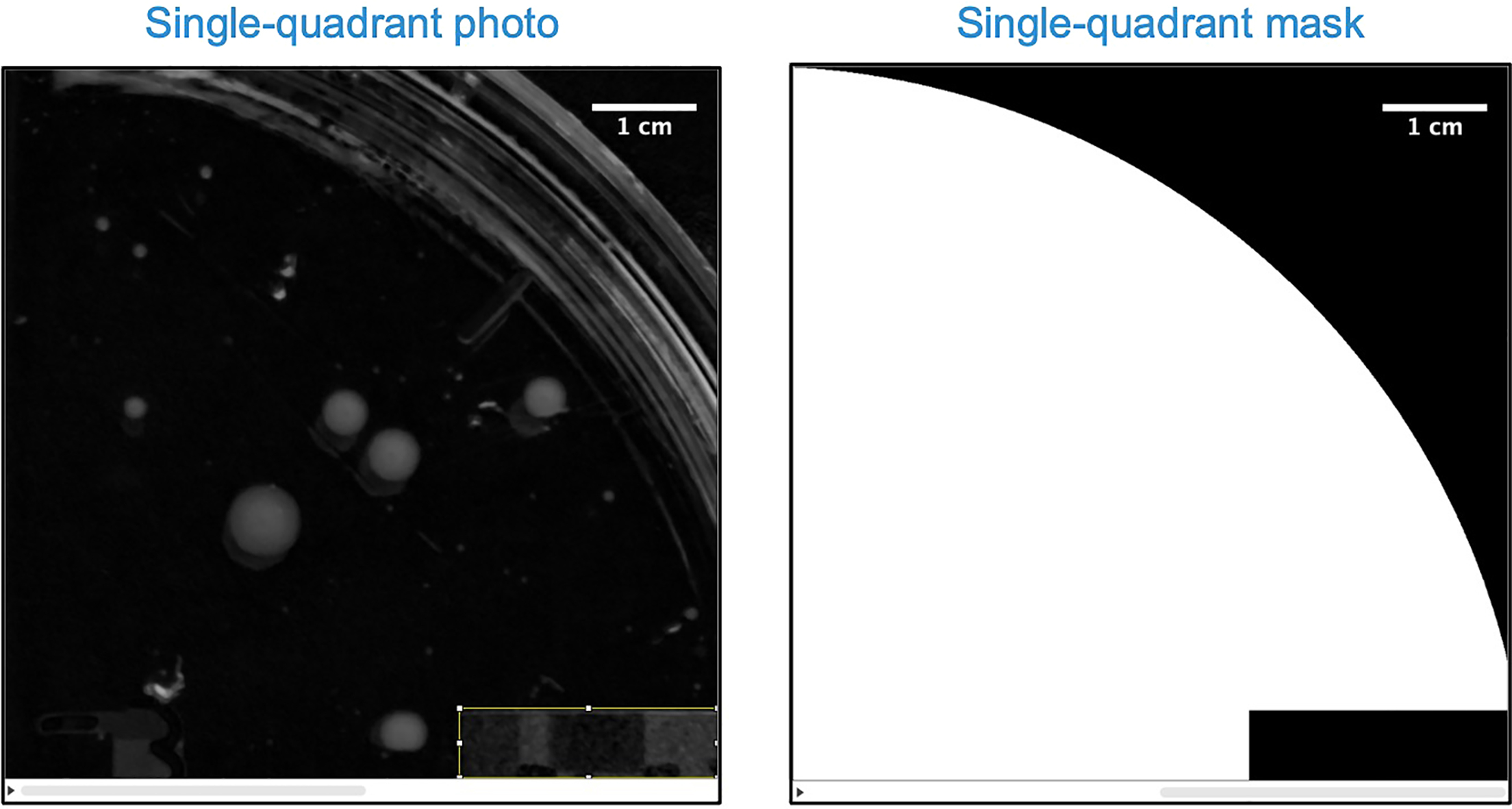 Cell Press: STAR Protocols