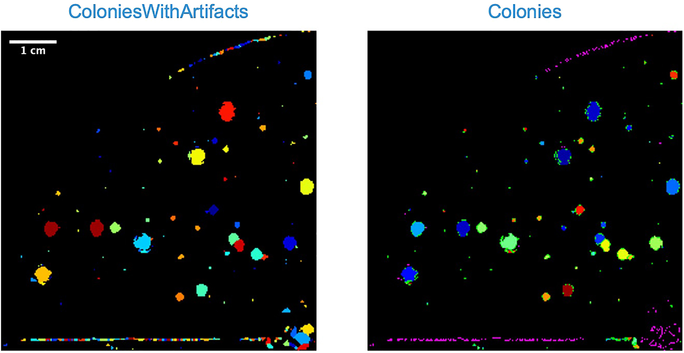 Cell Press: STAR Protocols