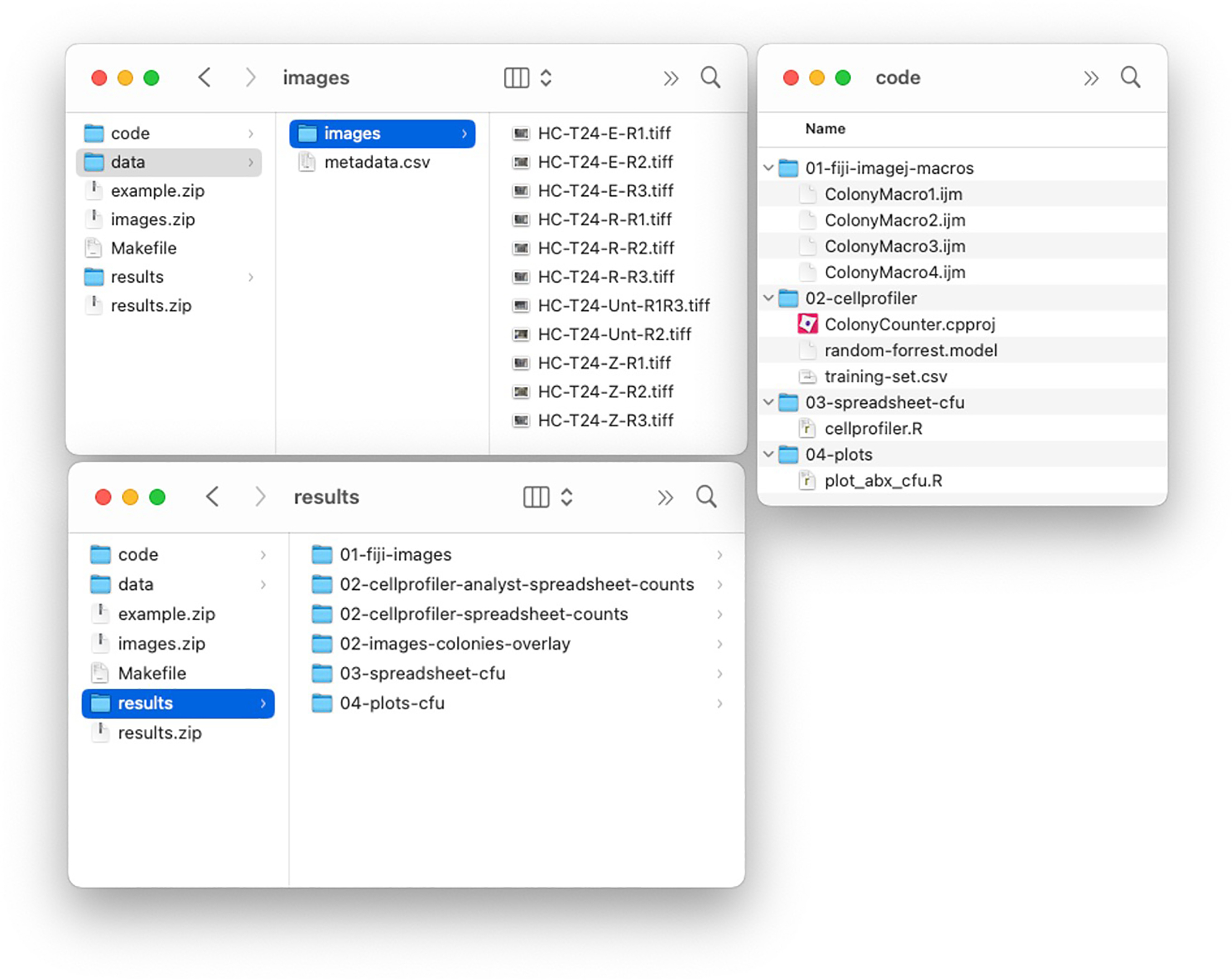 Cell Press: STAR Protocols