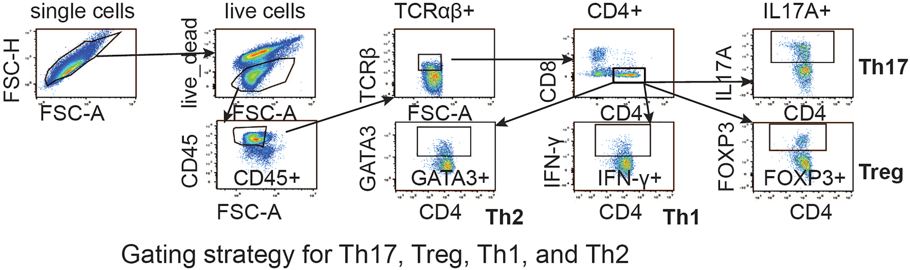 Cell Press: STAR Protocols