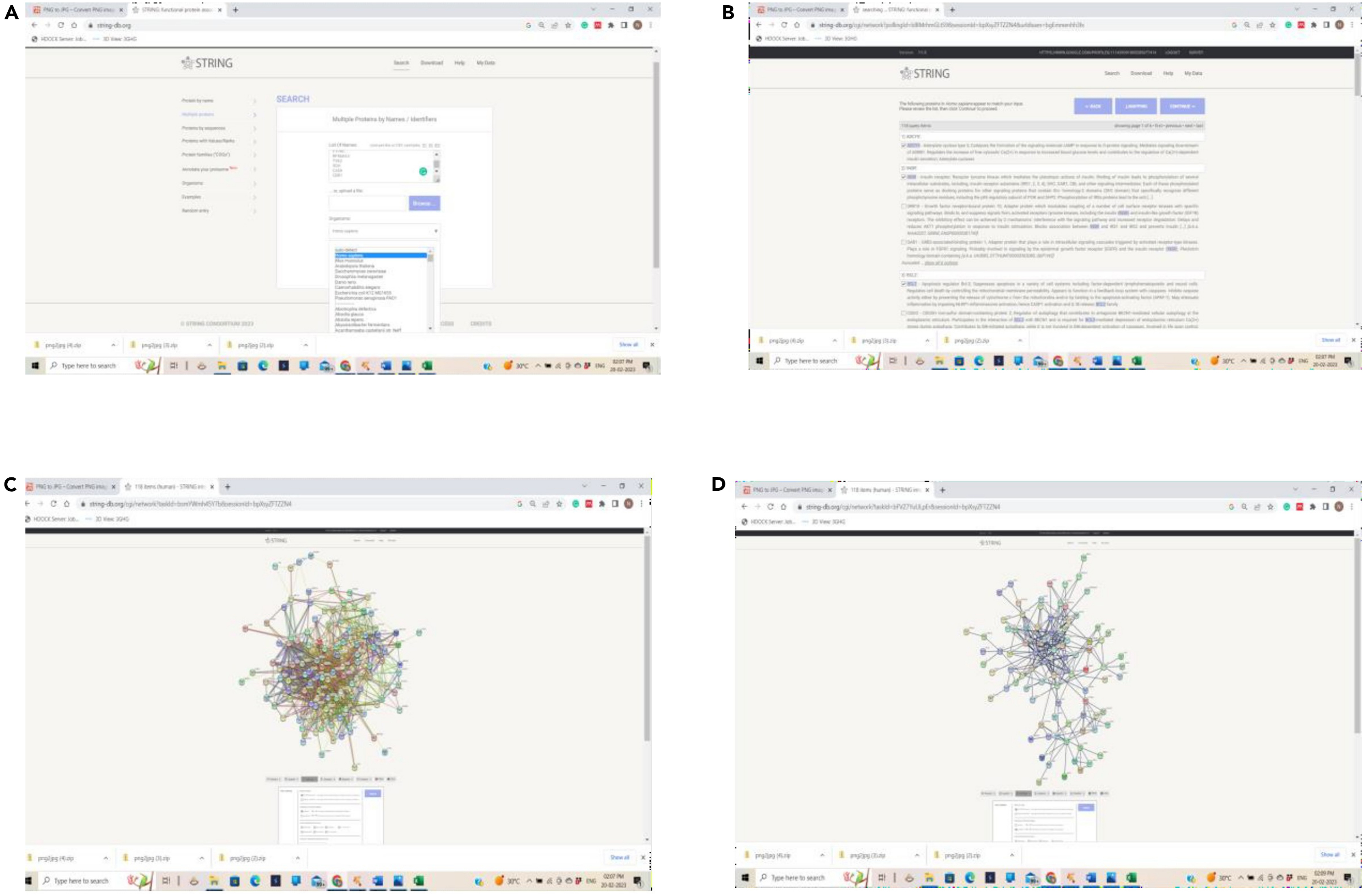 Cell Press: STAR Protocols
