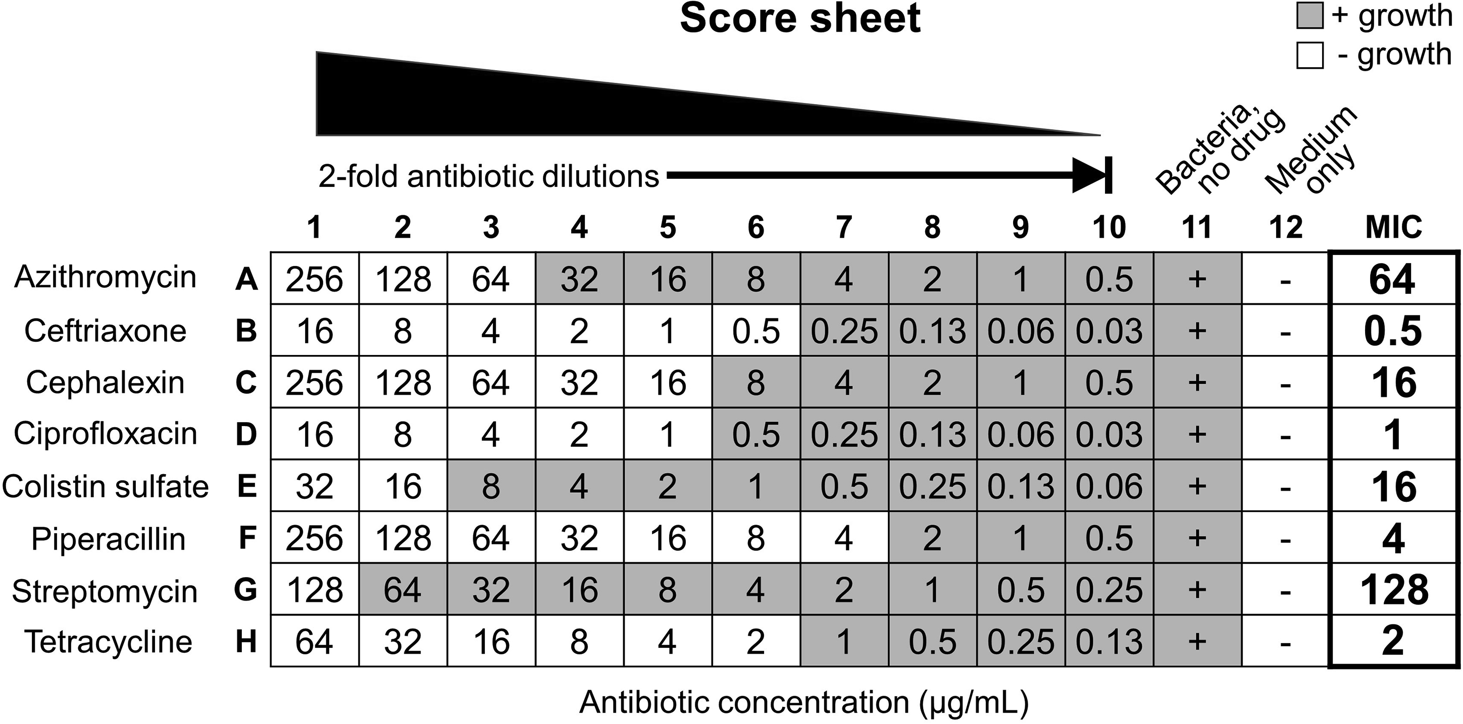 Cell Press: STAR Protocols