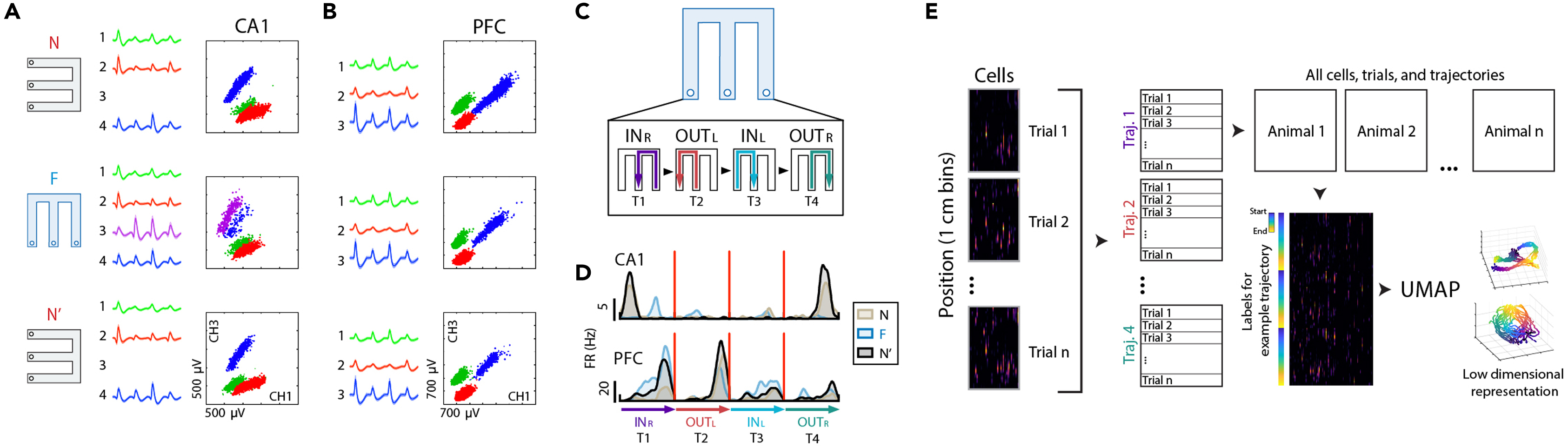 Cell Press: STAR Protocols