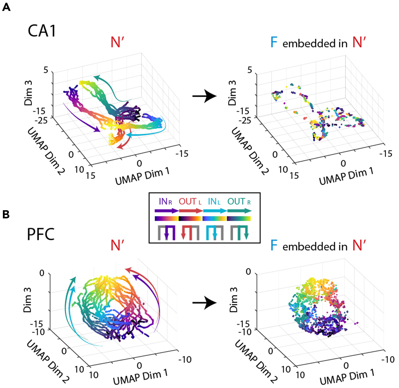 Cell Press: STAR Protocols