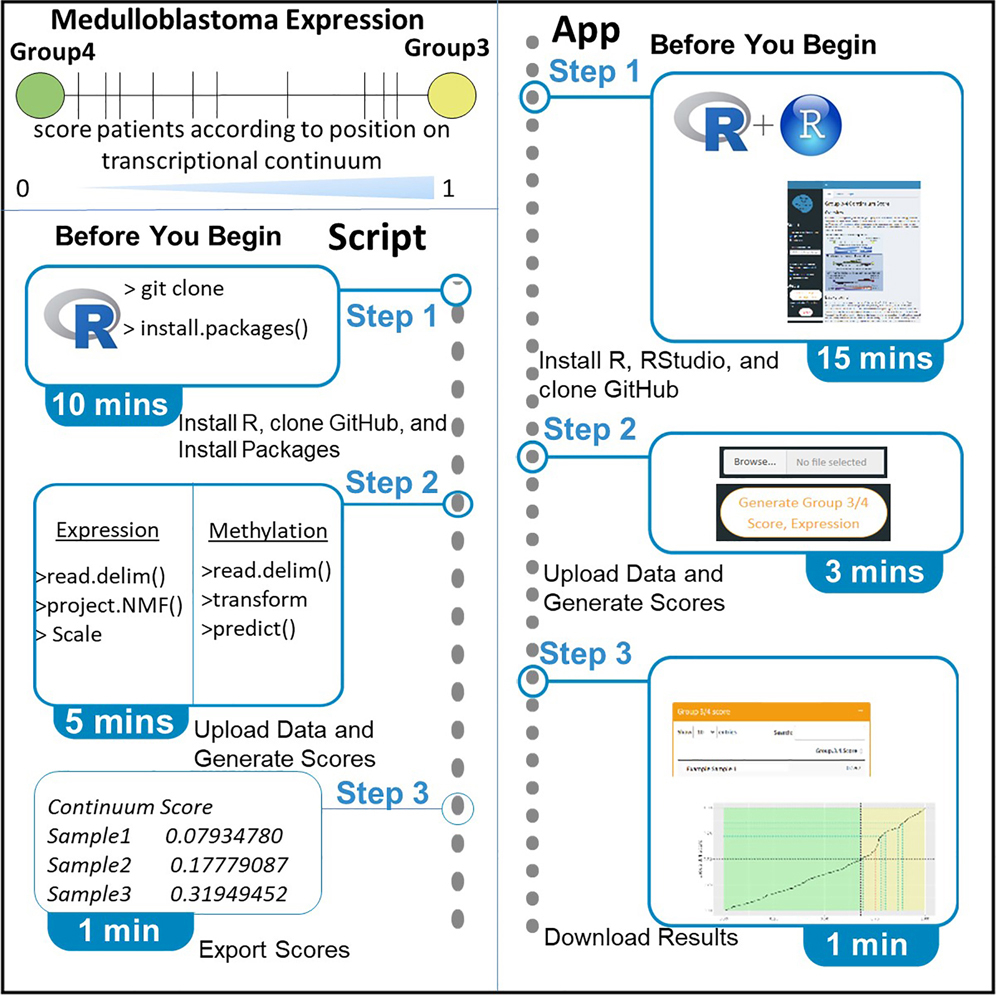 Cell Press: STAR Protocols