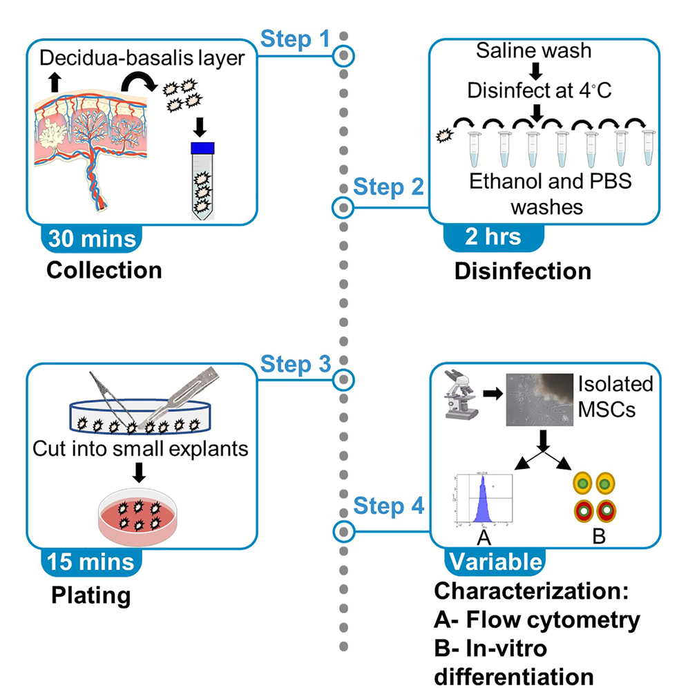 Cell Press: STAR Protocols