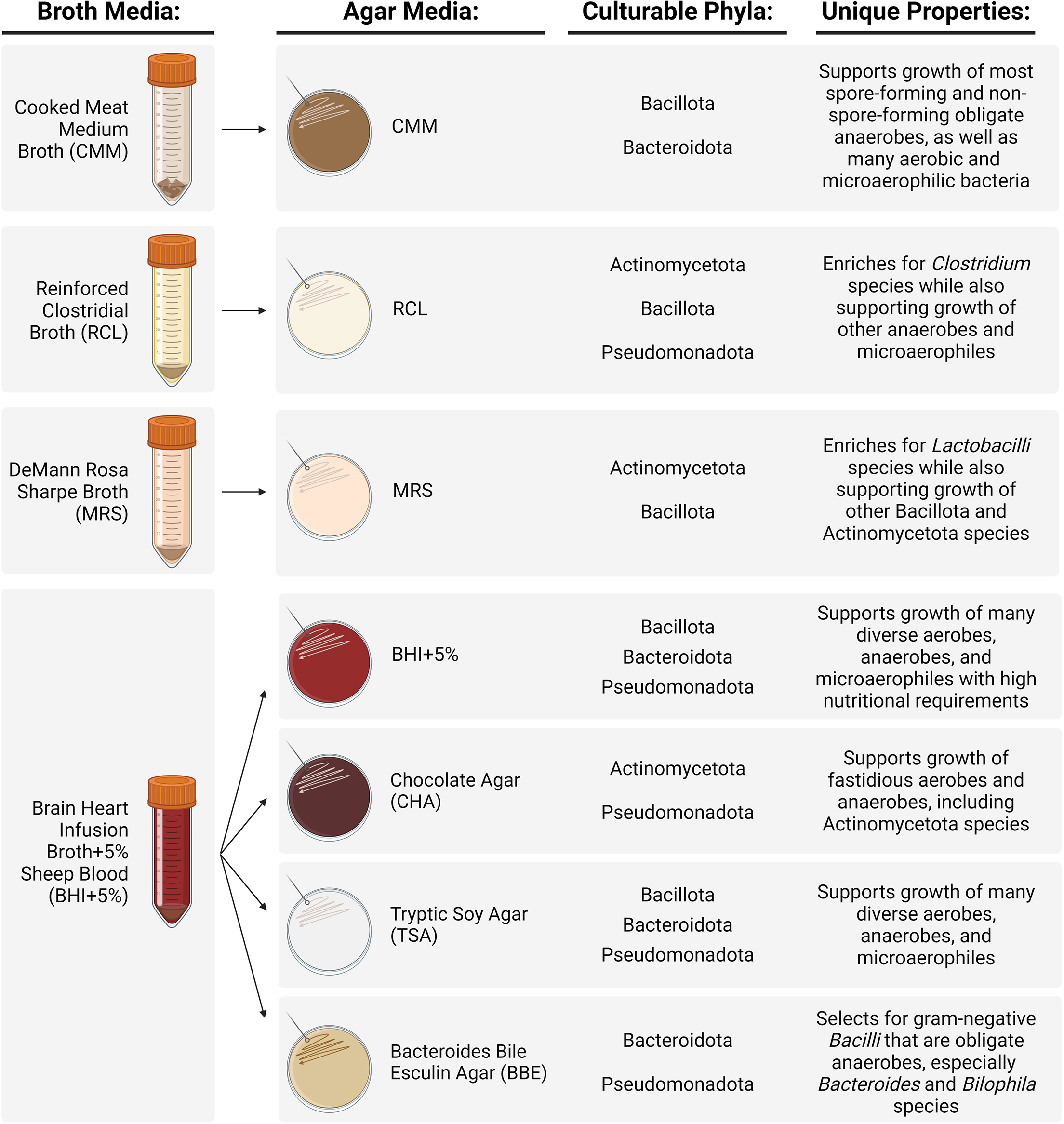 Cell Press: STAR Protocols