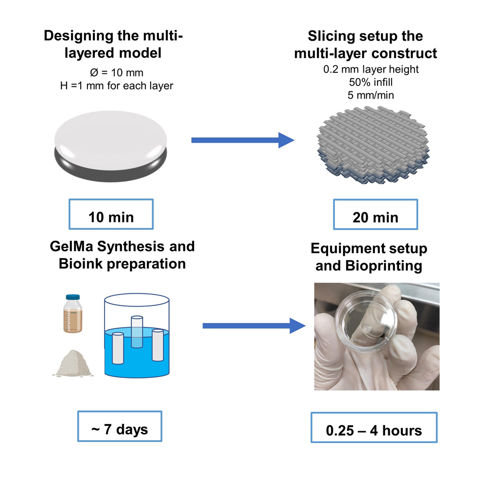 Cell Press: STAR Protocols