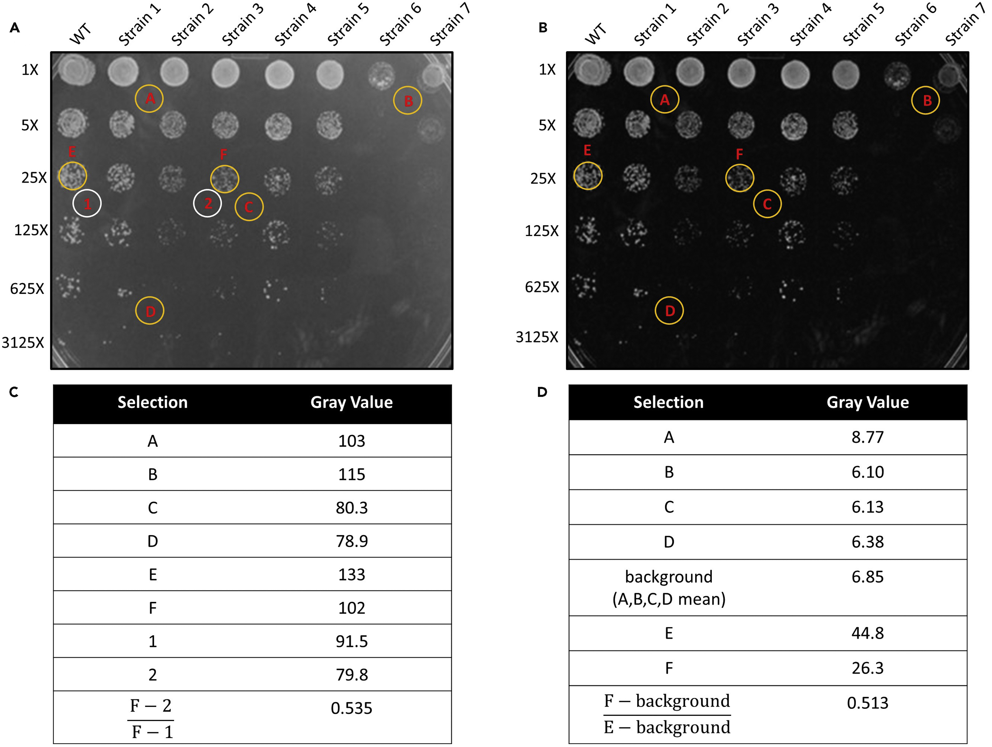 Cell Press: STAR Protocols