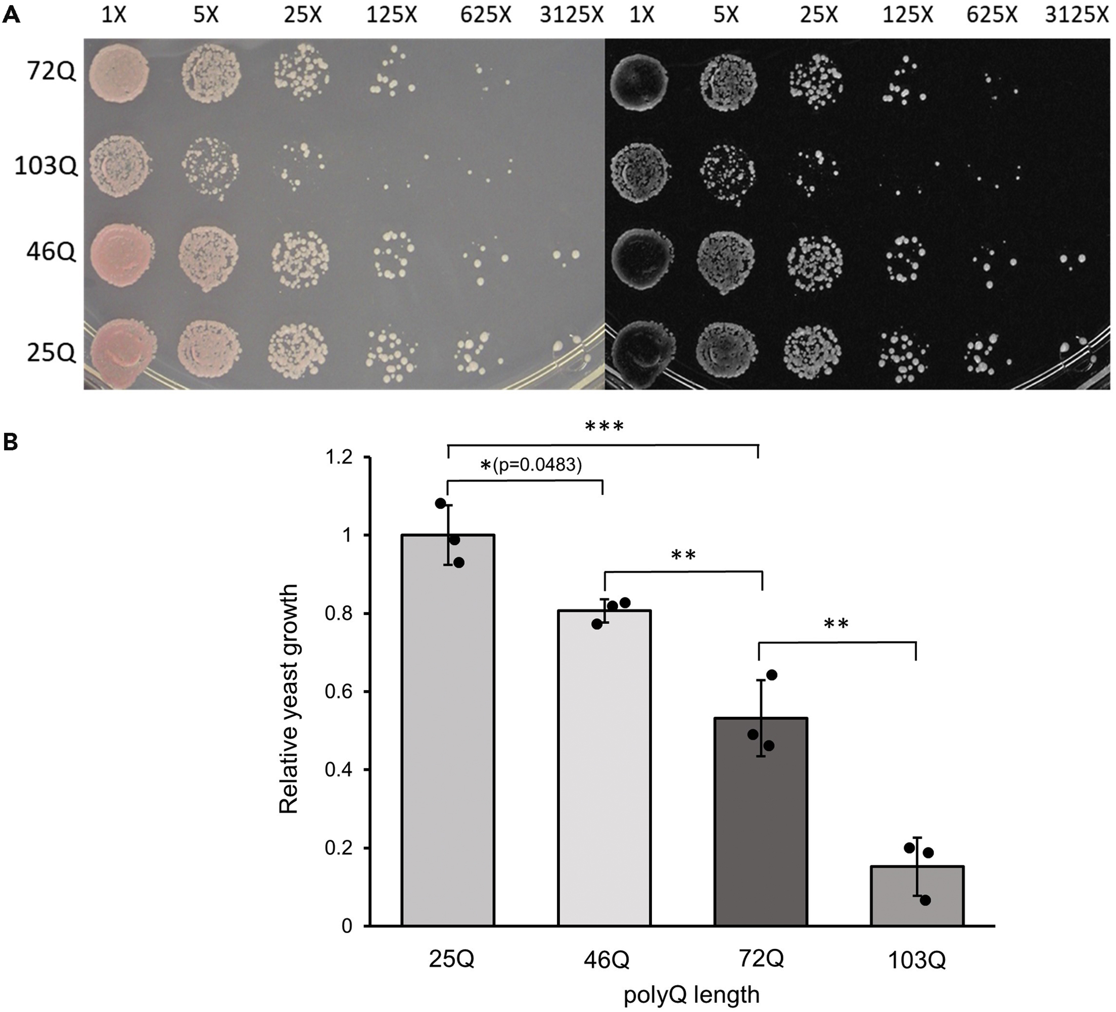 Cell Press: STAR Protocols