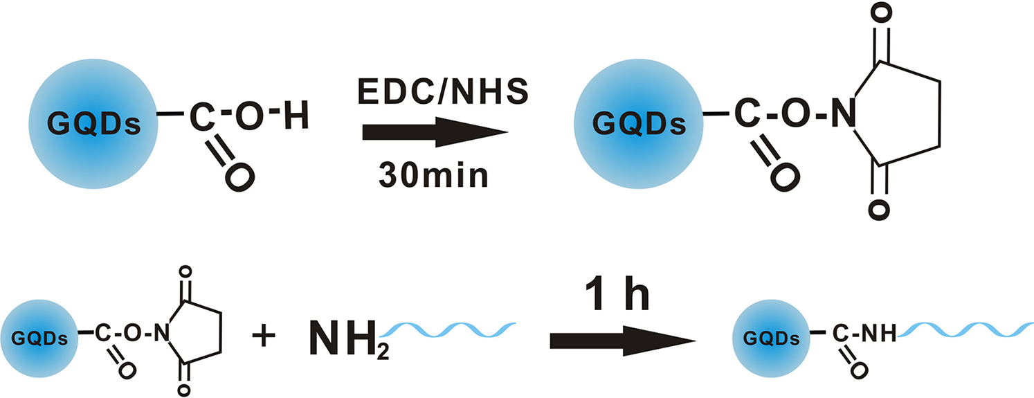 Cell Press: STAR Protocols