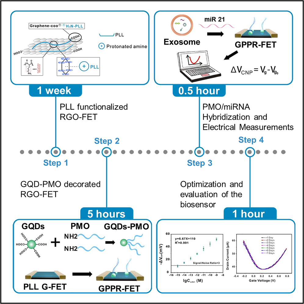 Cell Press: STAR Protocols