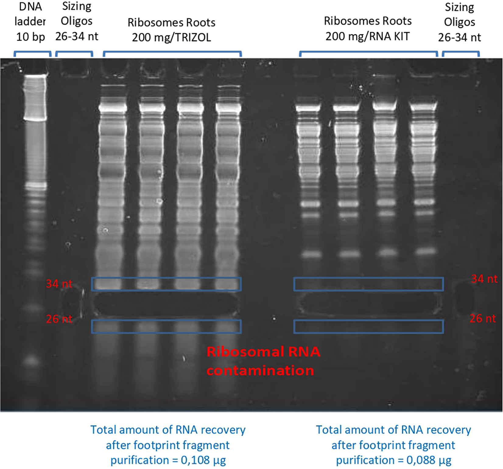 Cell Press: STAR Protocols