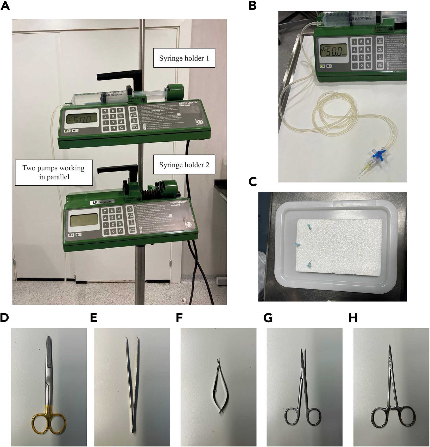 Cell Press: STAR Protocols