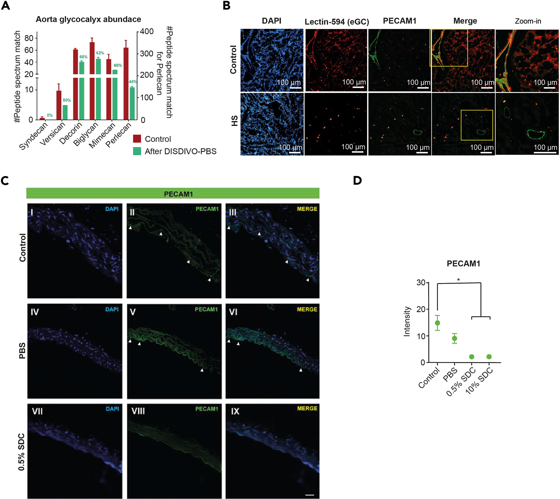 Cell Press: STAR Protocols