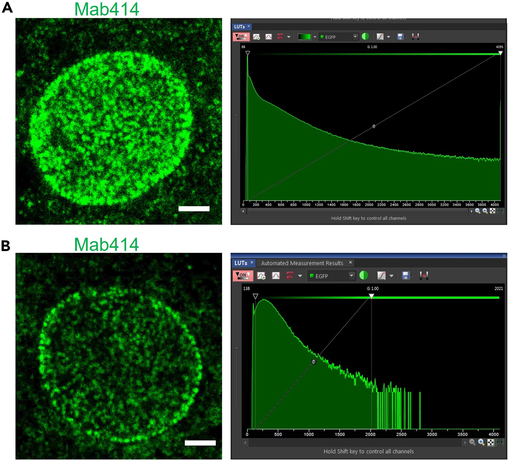 Cell Press: STAR Protocols