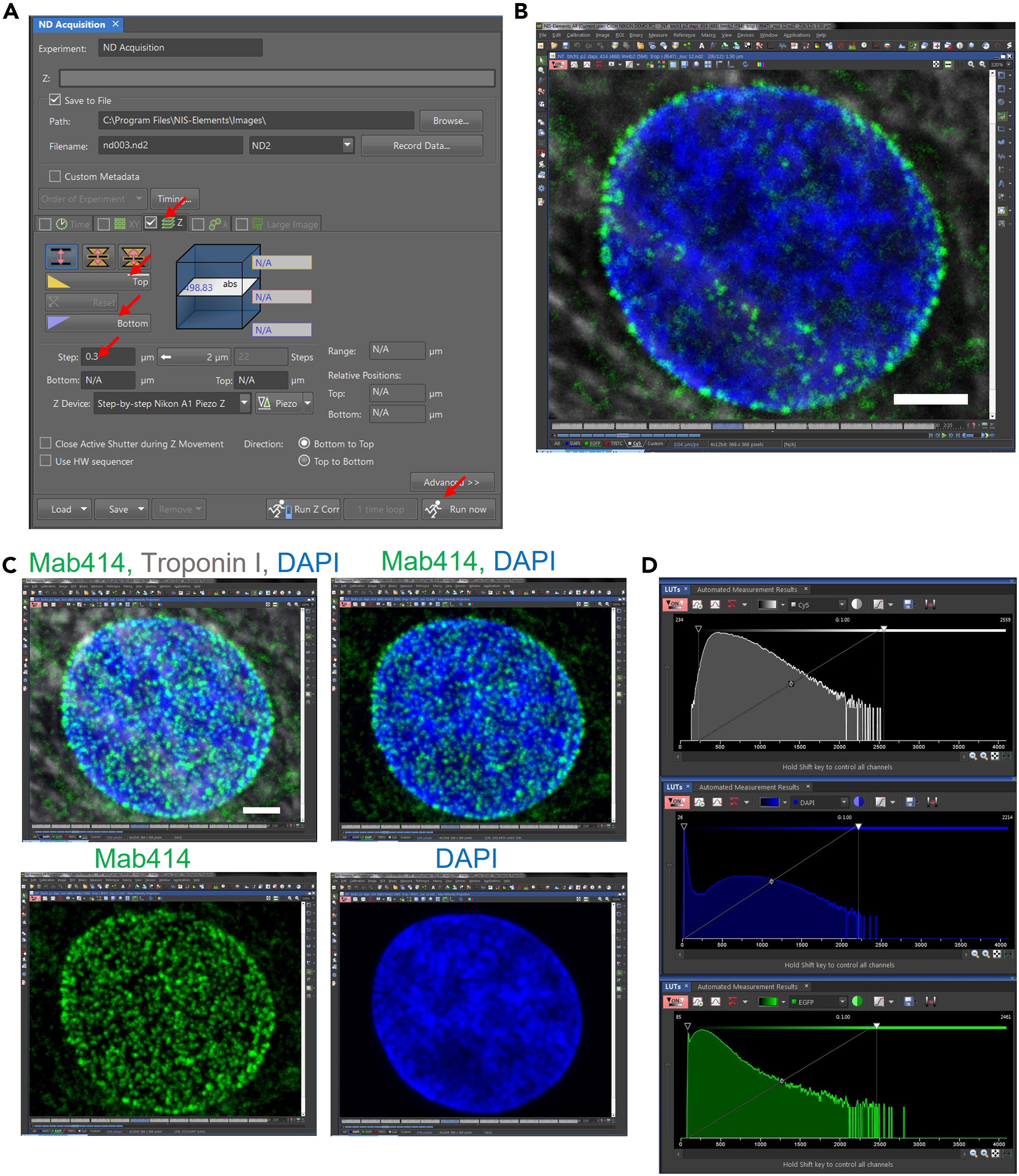 Cell Press: STAR Protocols