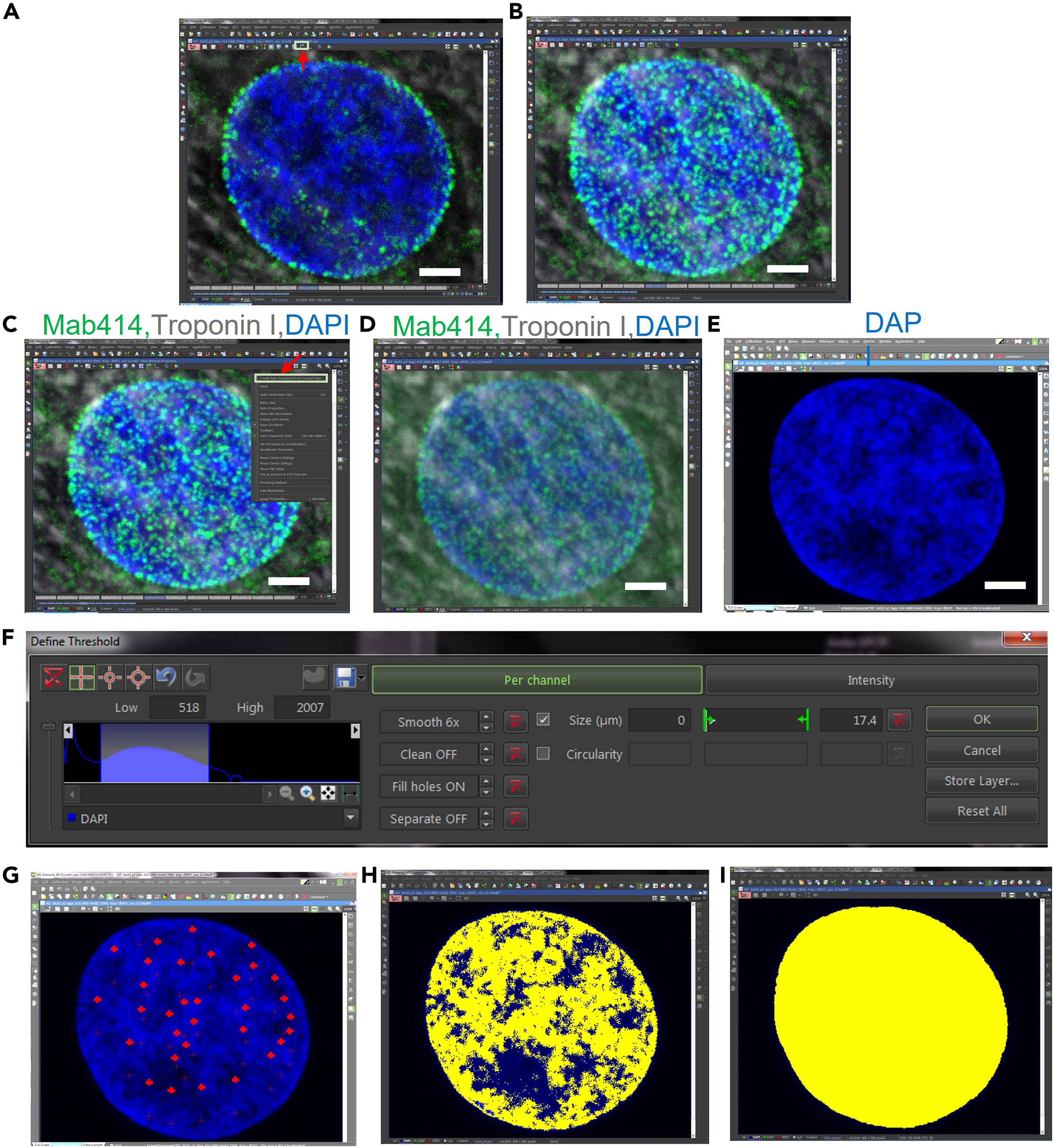 Cell Press: STAR Protocols