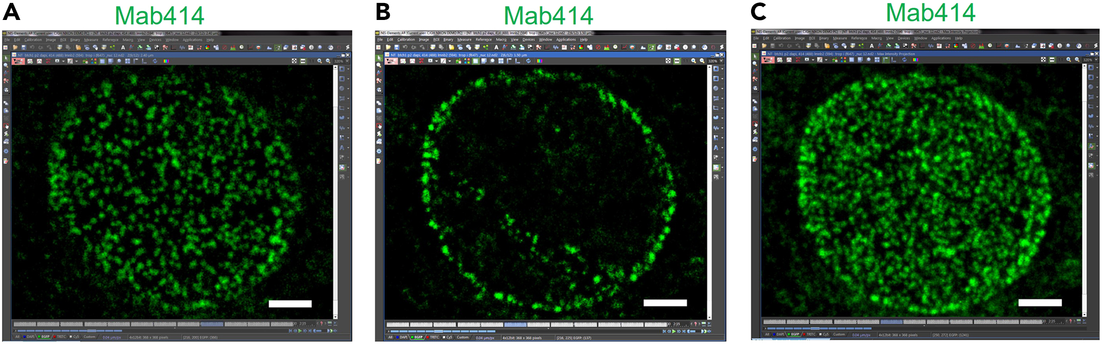 Cell Press: STAR Protocols