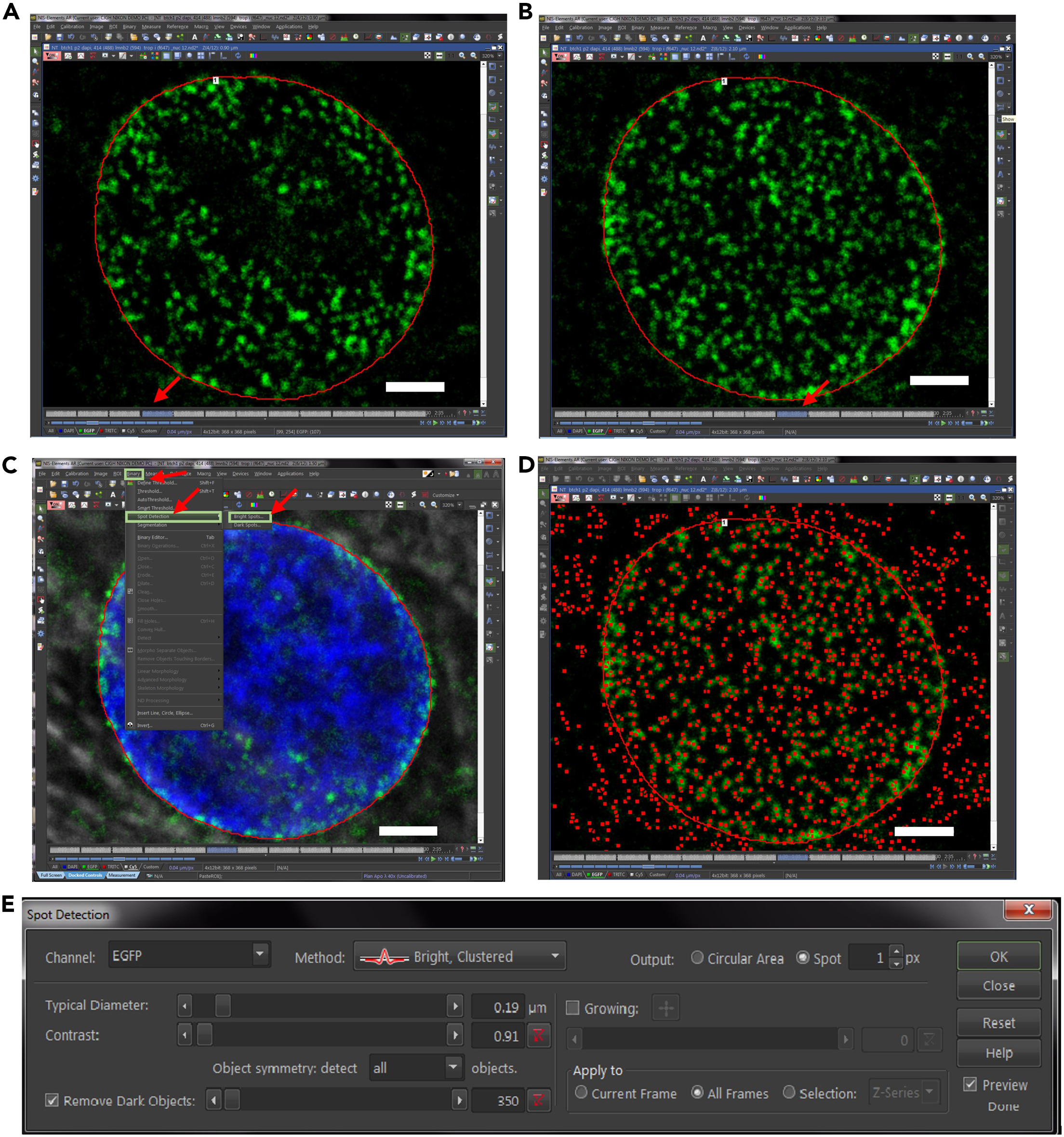 Cell Press: STAR Protocols