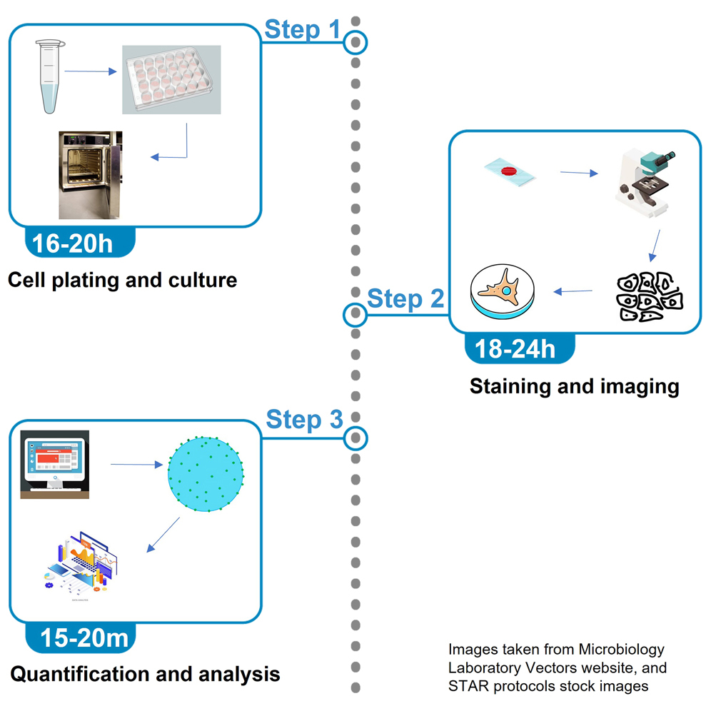 Cell Press: STAR Protocols