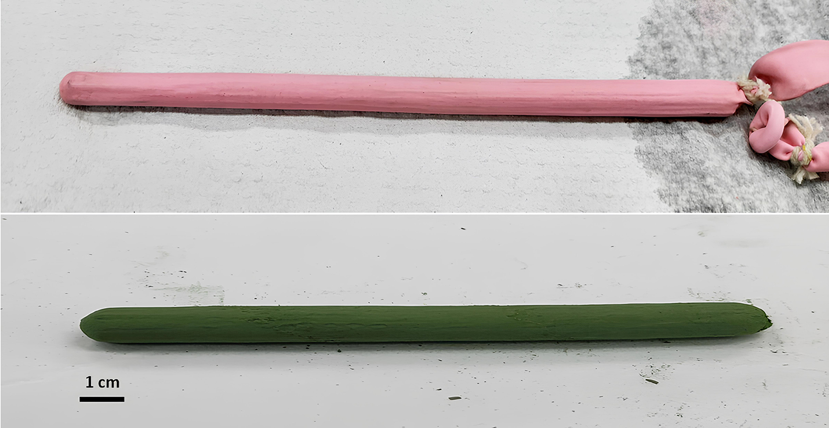 Cell Press: STAR Protocols