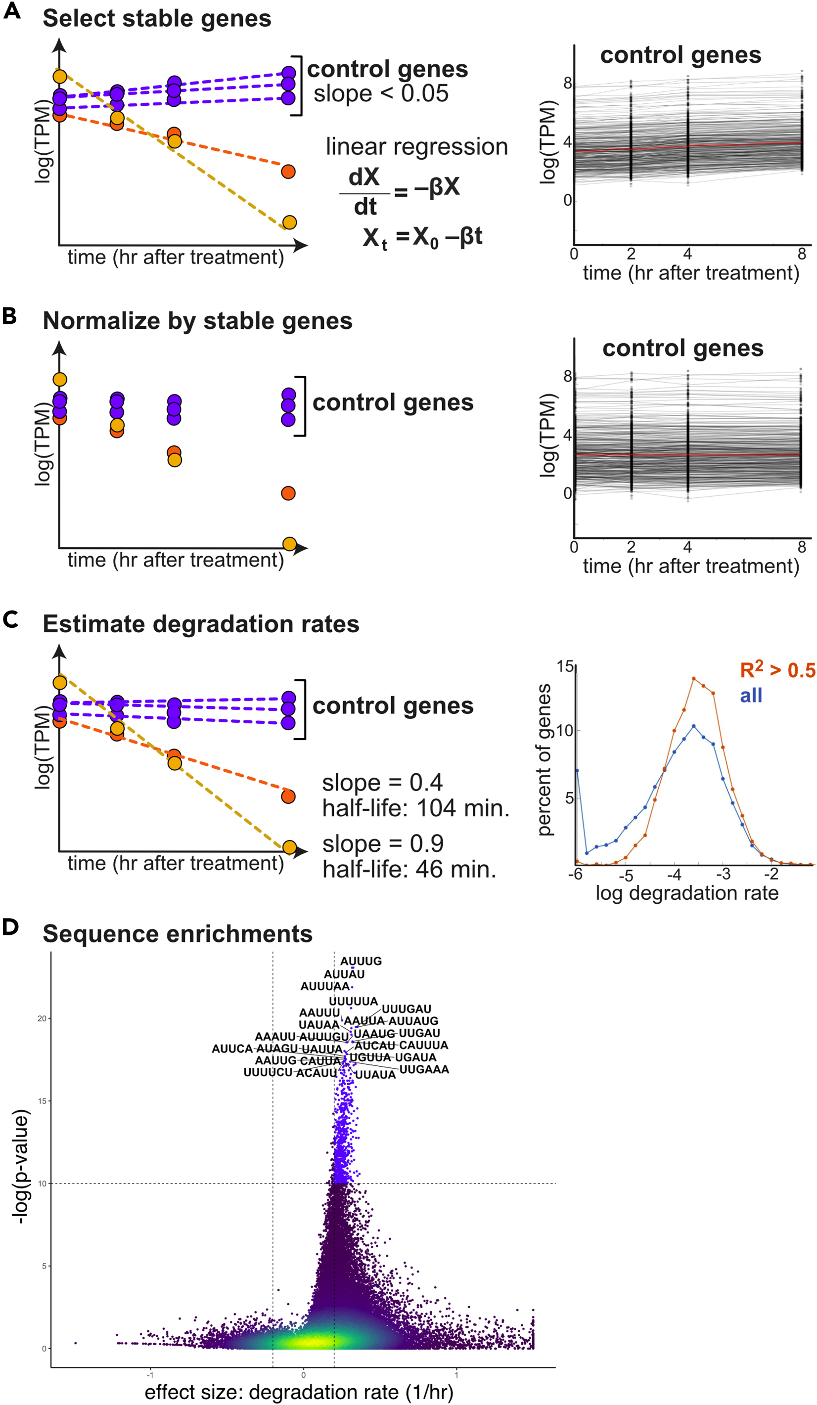 Cell Press: STAR Protocols