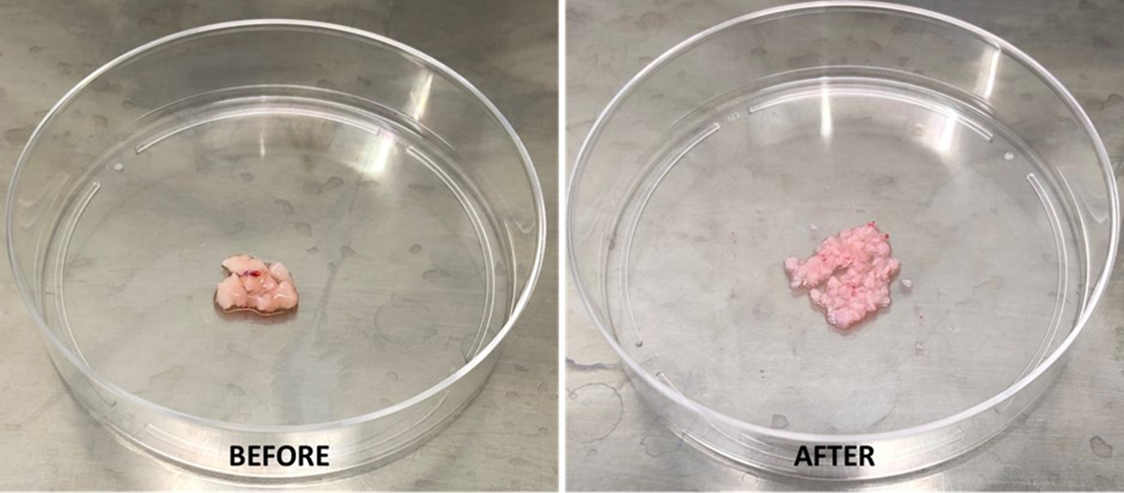 Cell Press: STAR Protocols