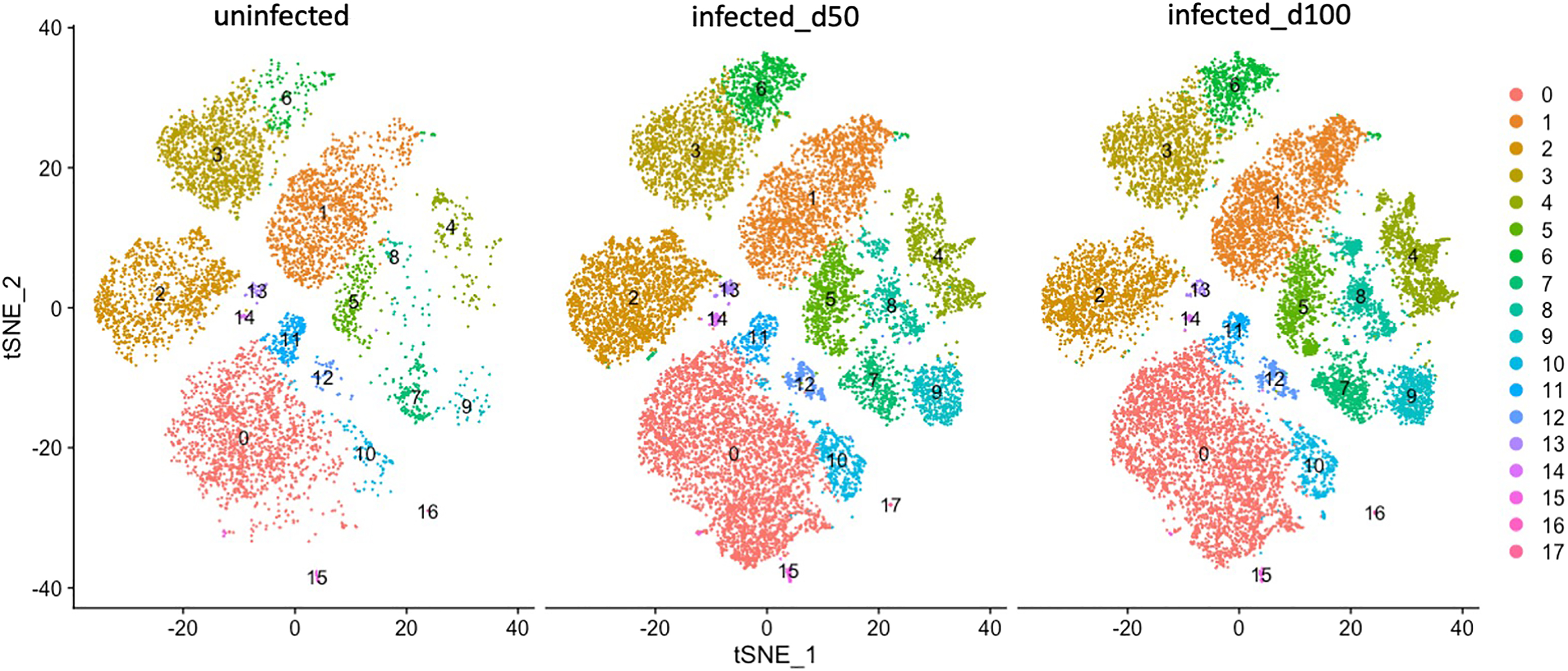 Cell Press: STAR Protocols