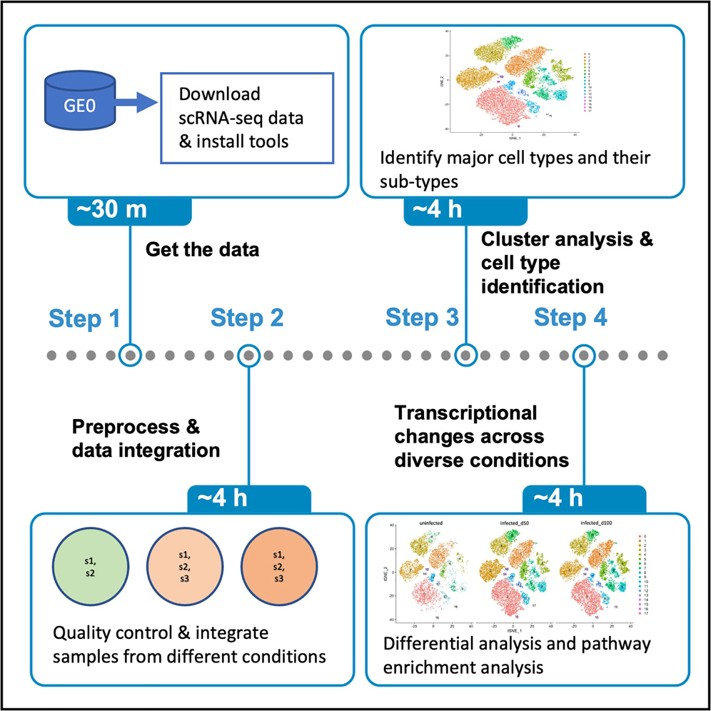 Cell Press: STAR Protocols