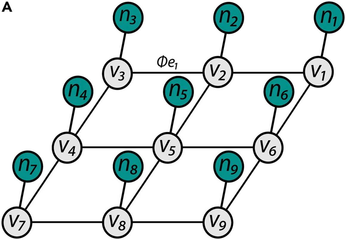 Cell Press: STAR Protocols