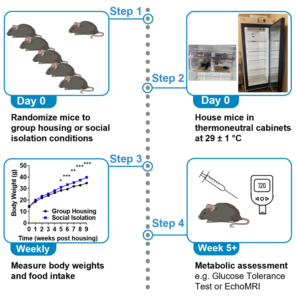 Cell Press: STAR Protocols