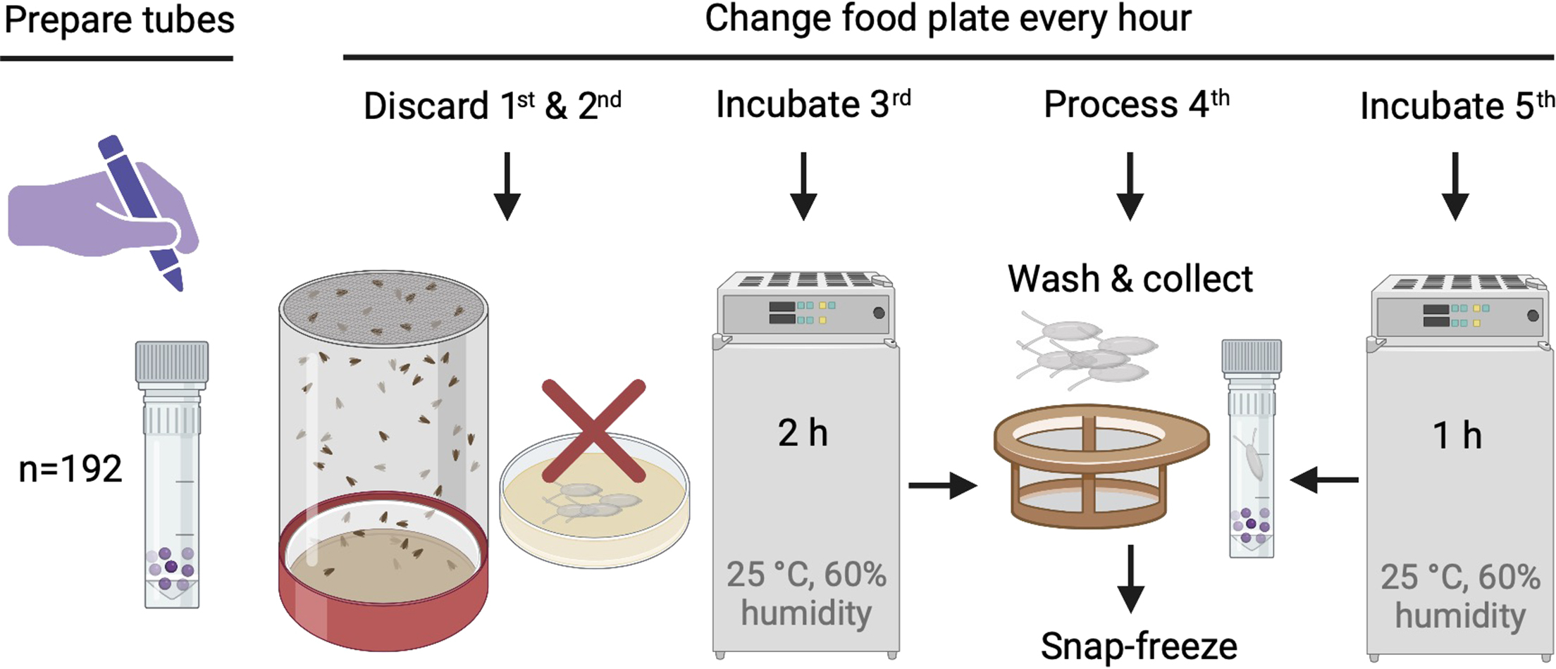 Cell Press Star Protocols