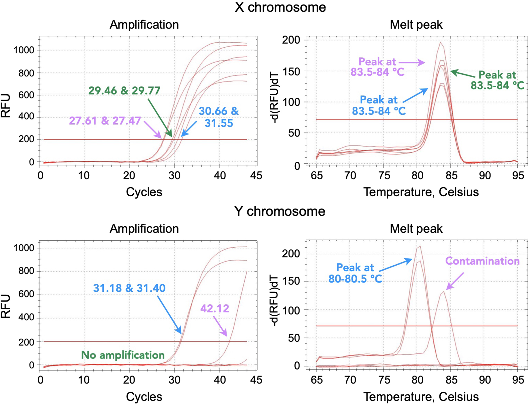 Cell Press: STAR Protocols