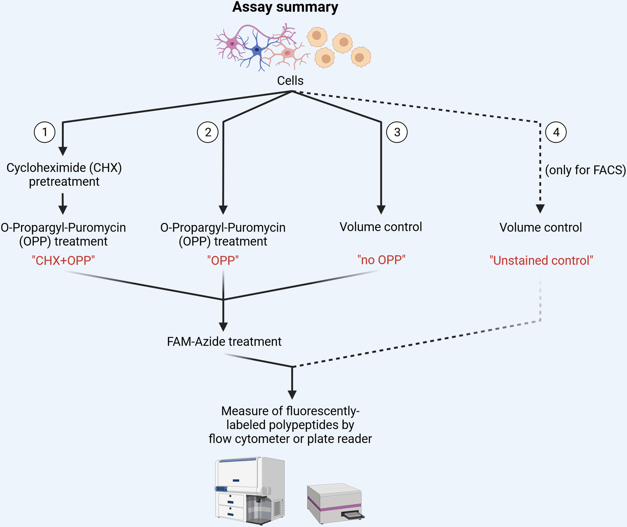Cell Press: STAR Protocols