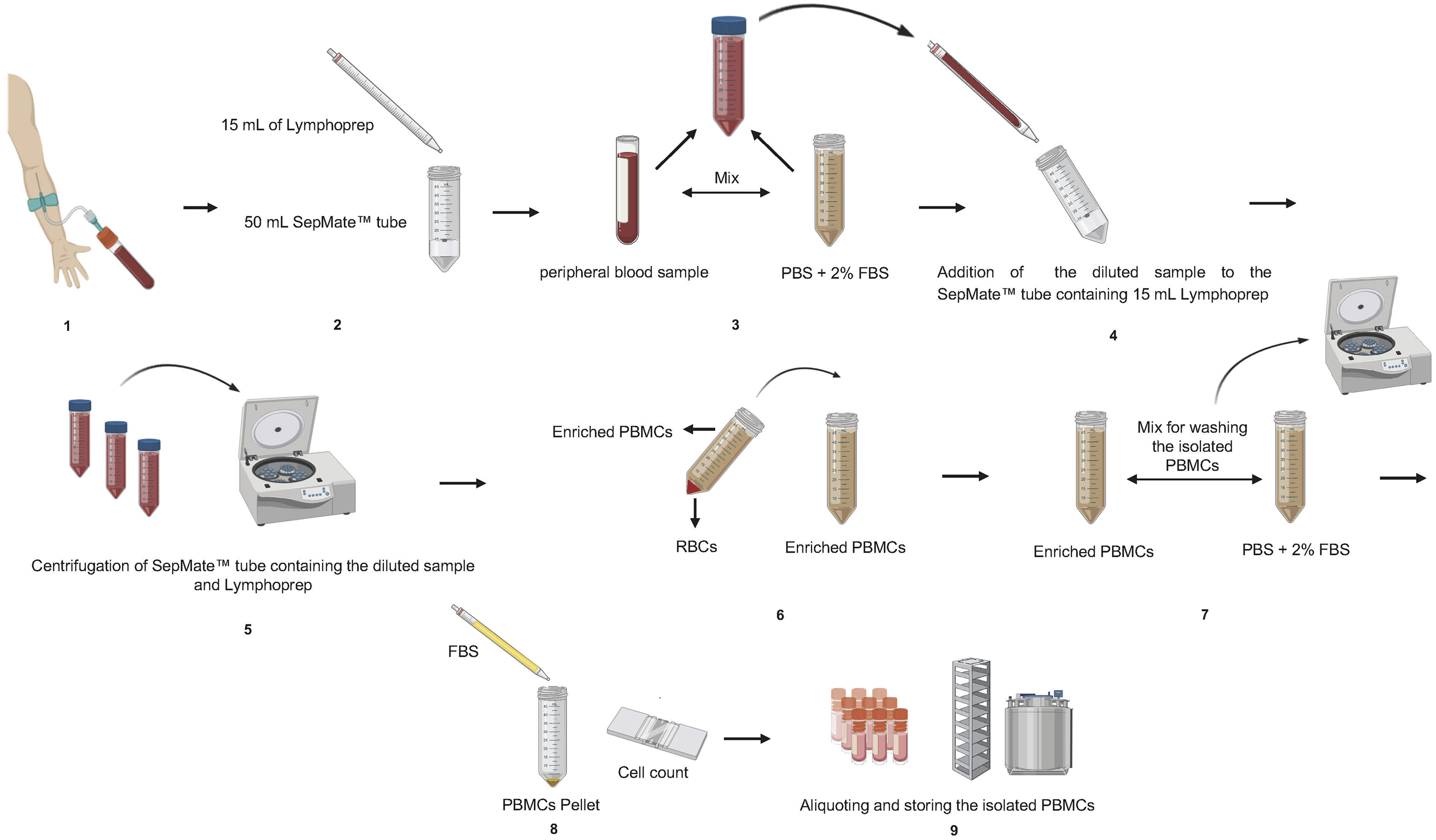 Cell Press: STAR Protocols
