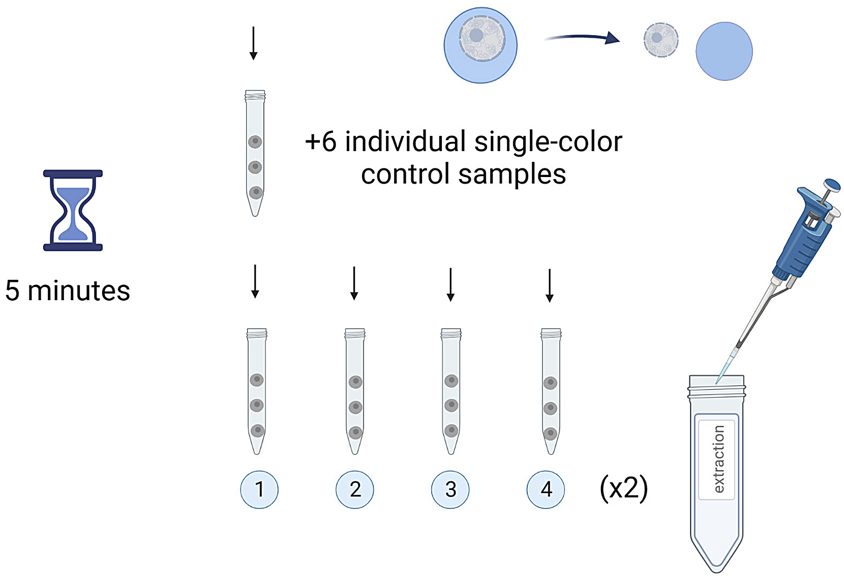 Cell Press: STAR Protocols
