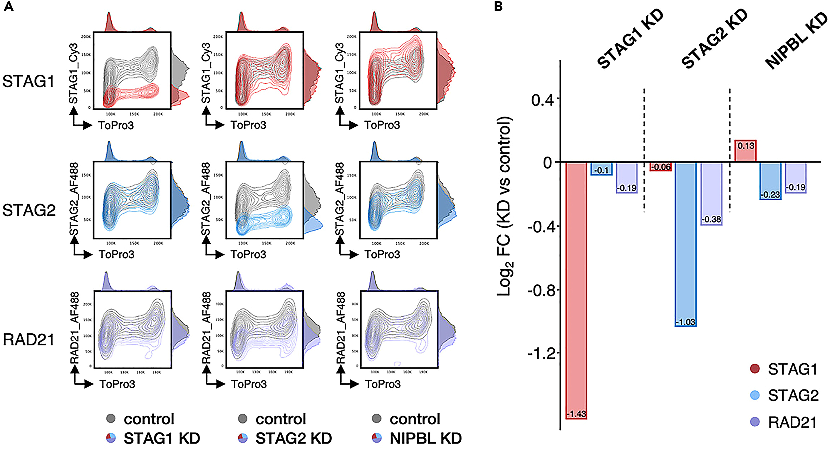 Cell Press: STAR Protocols