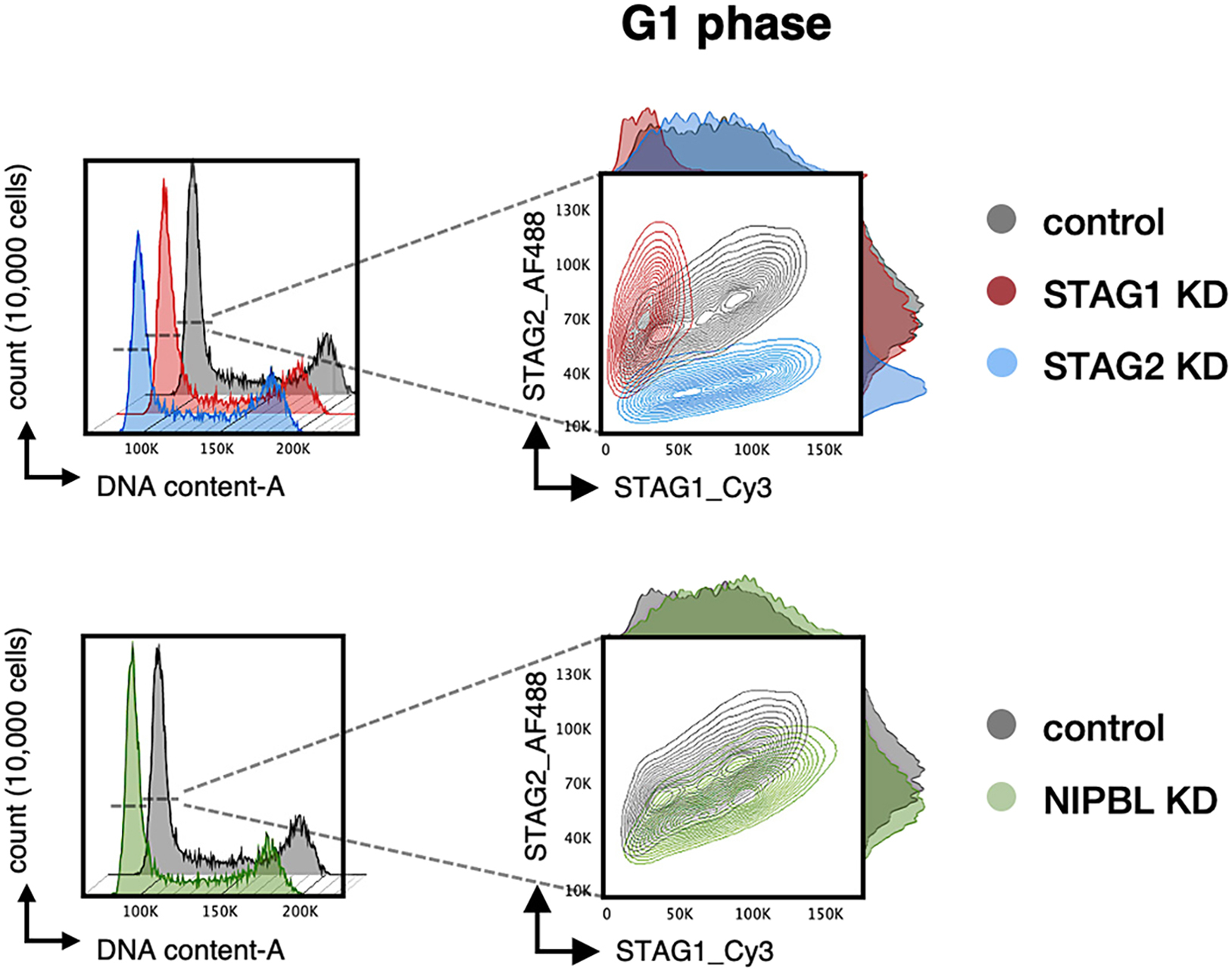 Cell Press: STAR Protocols