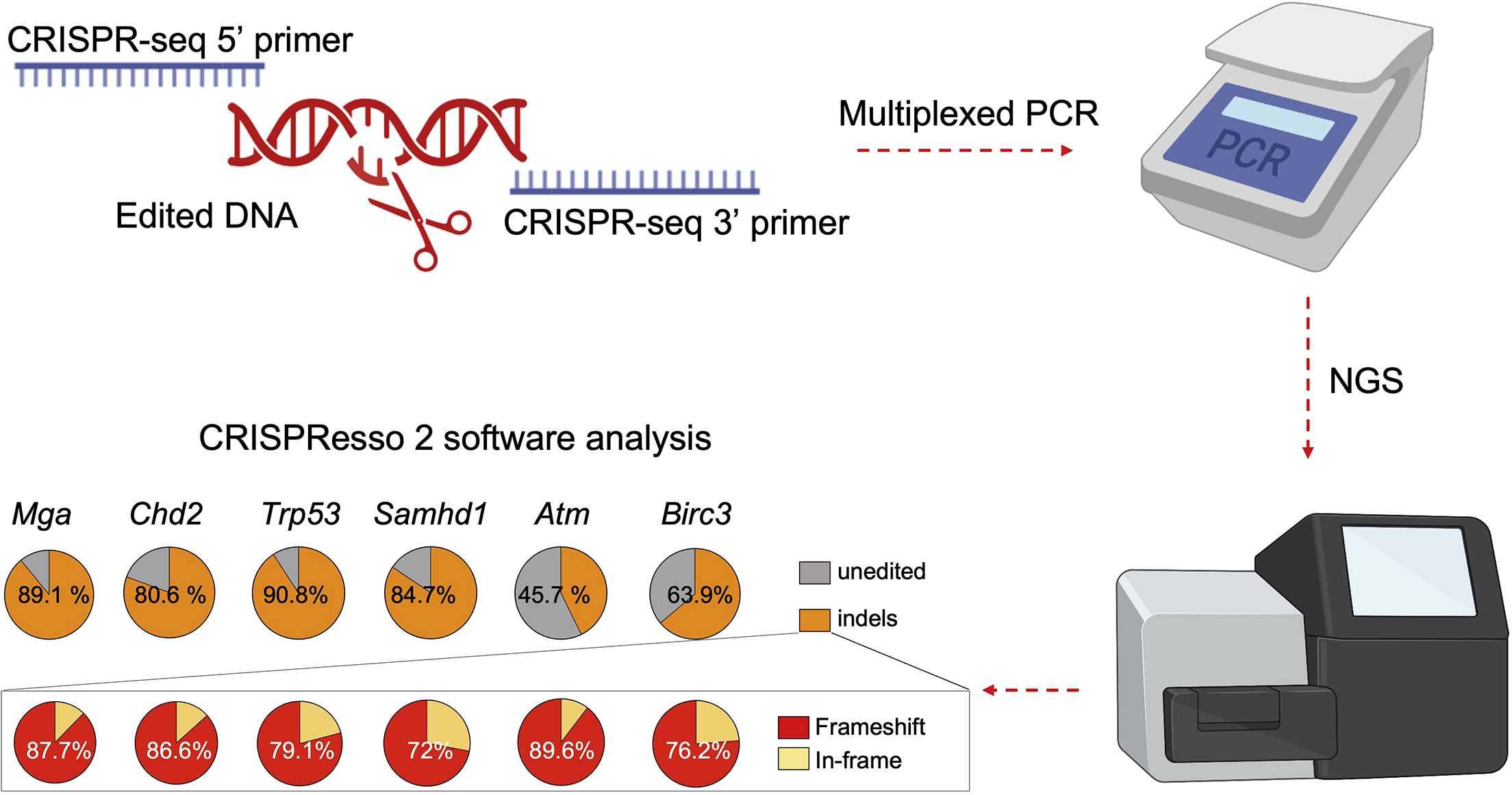 Cell Press: STAR Protocols